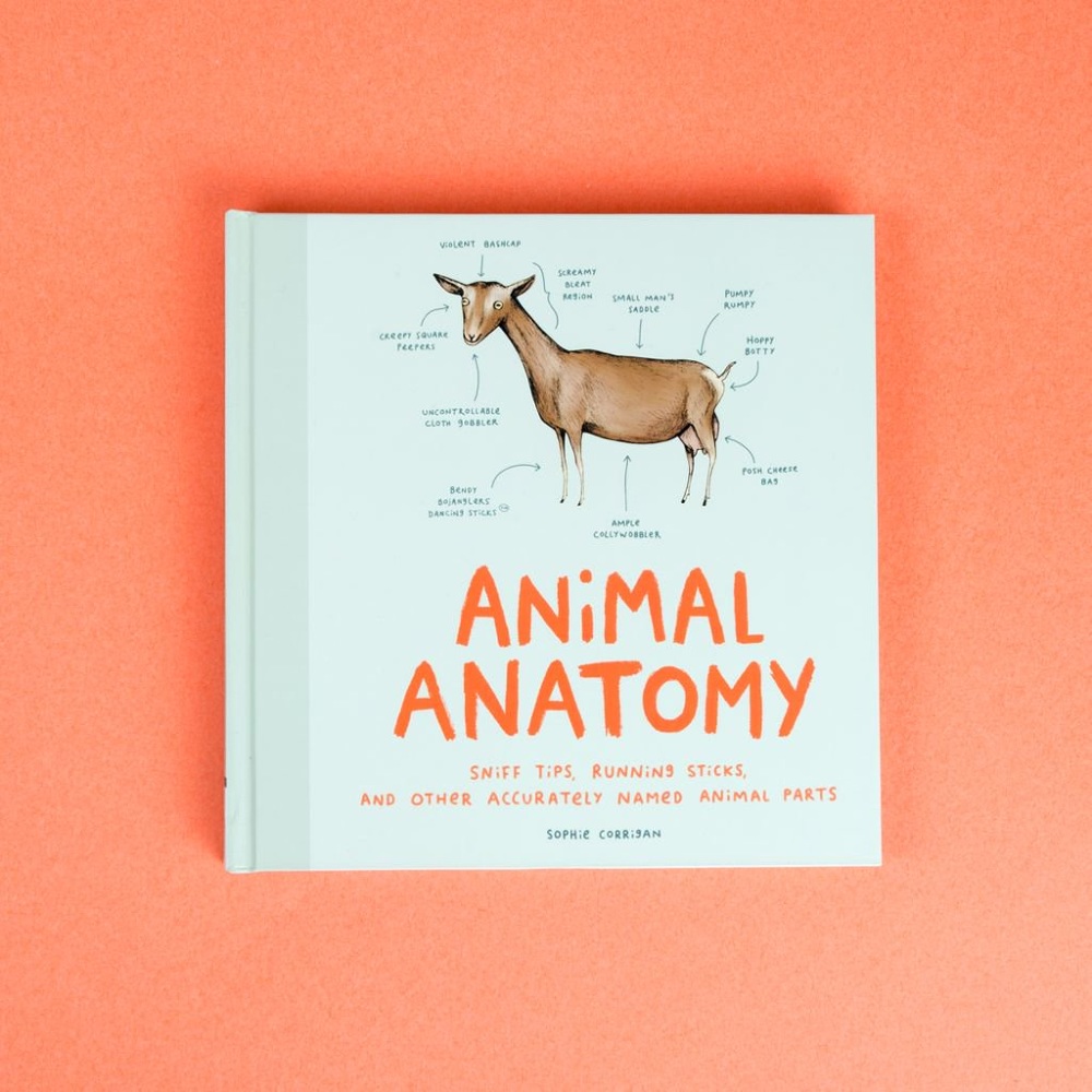 Animal Anatomy: Sniff Tips, Running Sticks, and Other Accurately ...