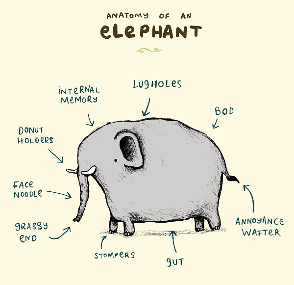 Animal Anatomy Memes Anatomy Of A Bear By Artworktee - Fur Affinity