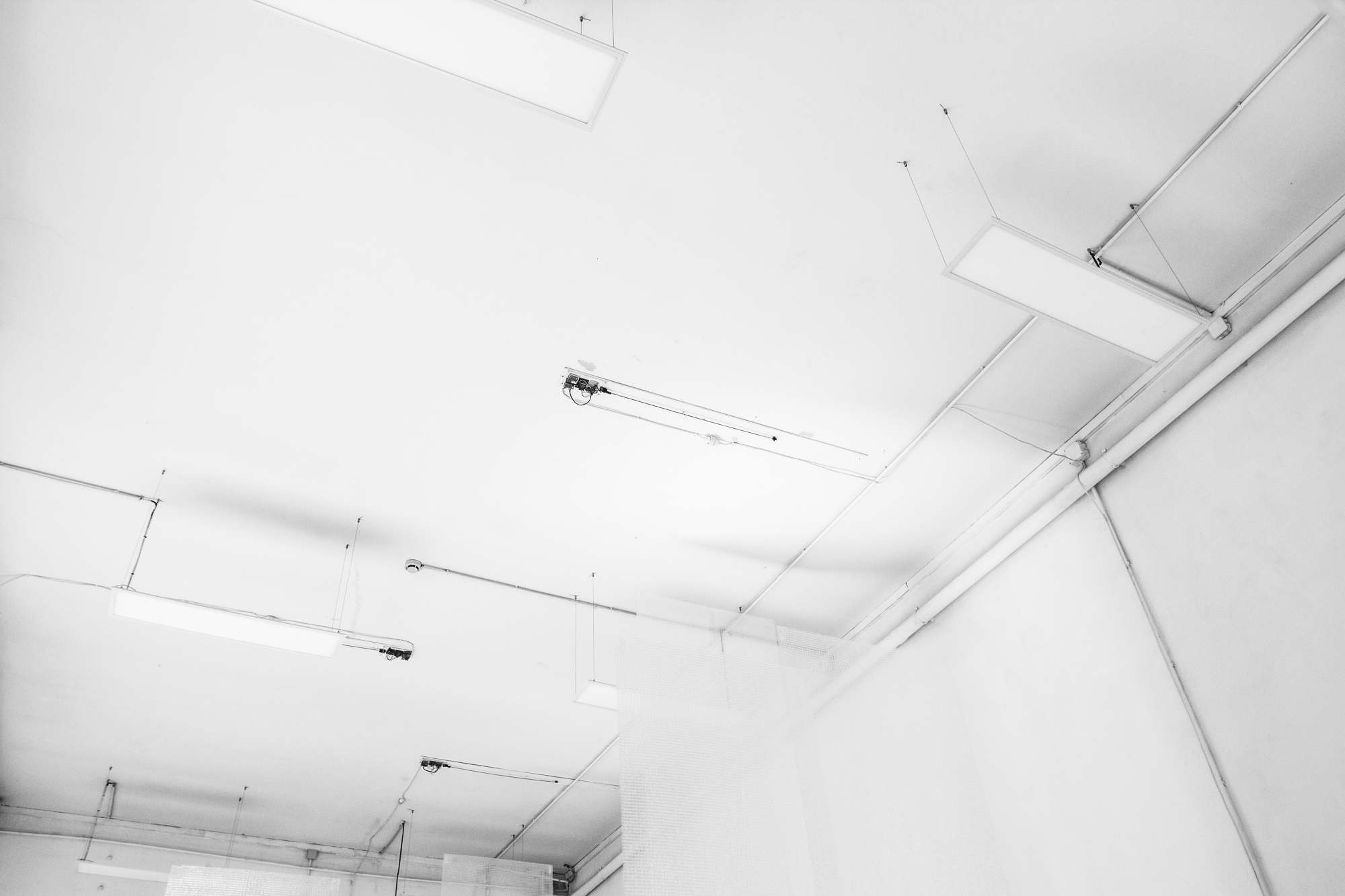 ANATOMIE DE SURFACE - CLSTN