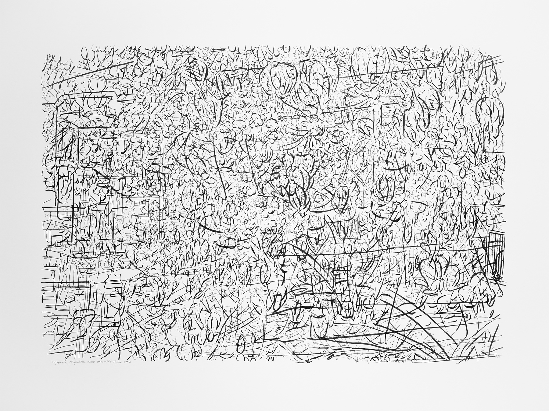 CAROUSEL (a coloring book) - Britland Tracy