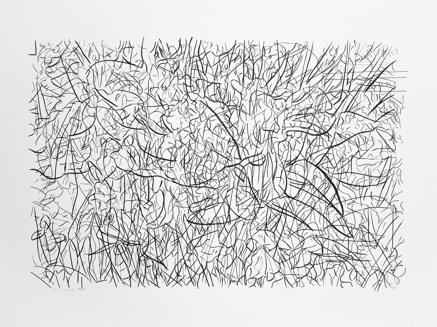 CAROUSEL (a coloring book) - Britland Tracy