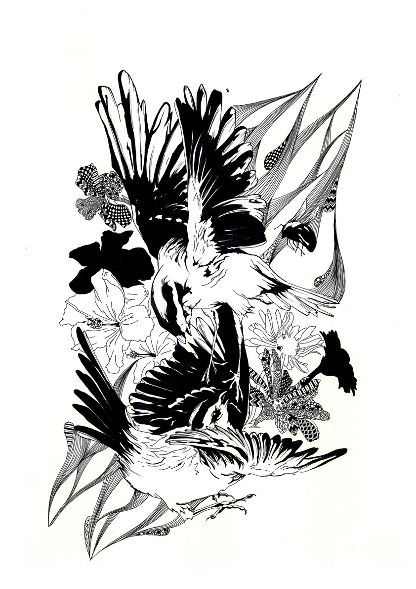 Illustration - Fran Lloyd
