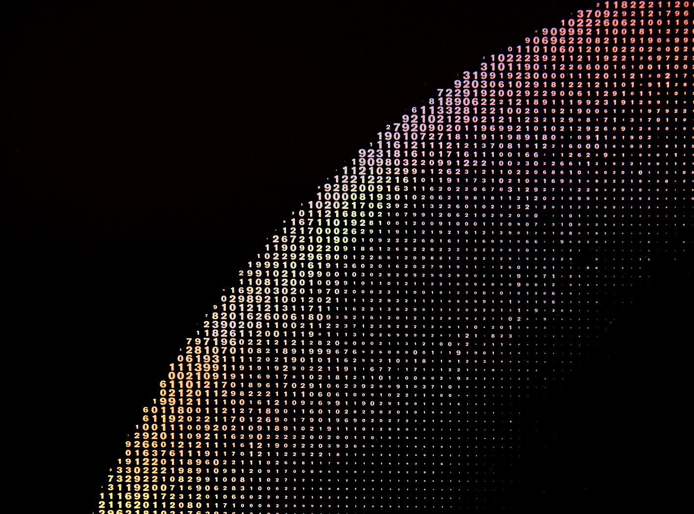 Moon - 김가든 Kimgarden