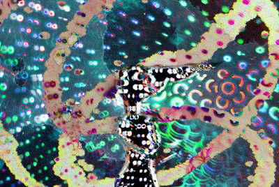 DRAWINGS ETC - amaranta