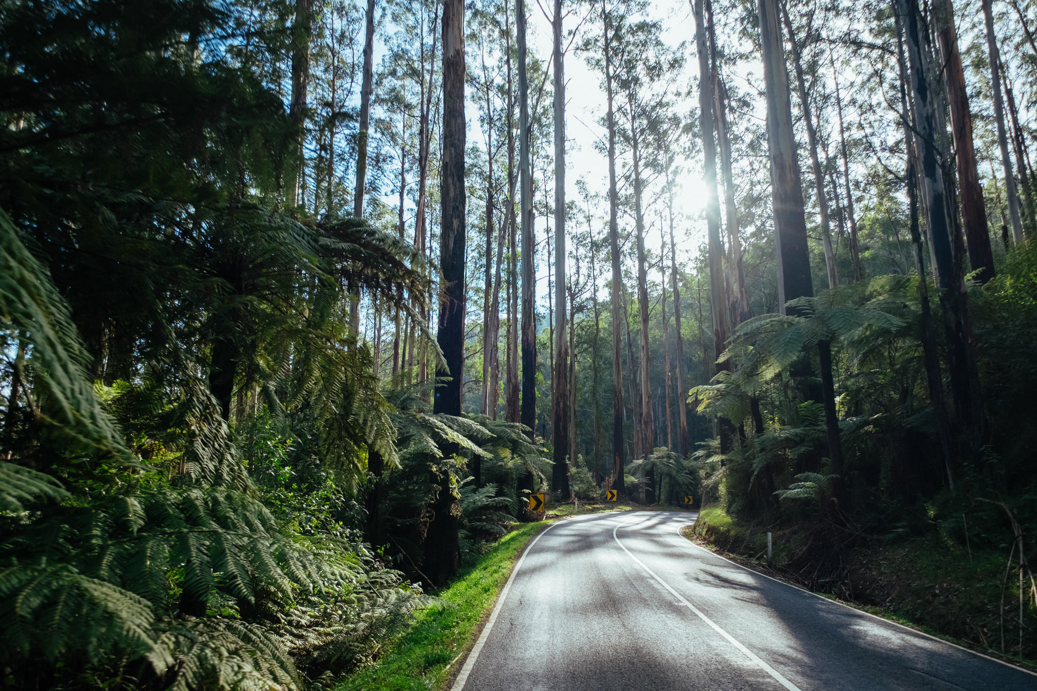 TAC - Max Milne | Professional Melbourne Commerical Advertising ...