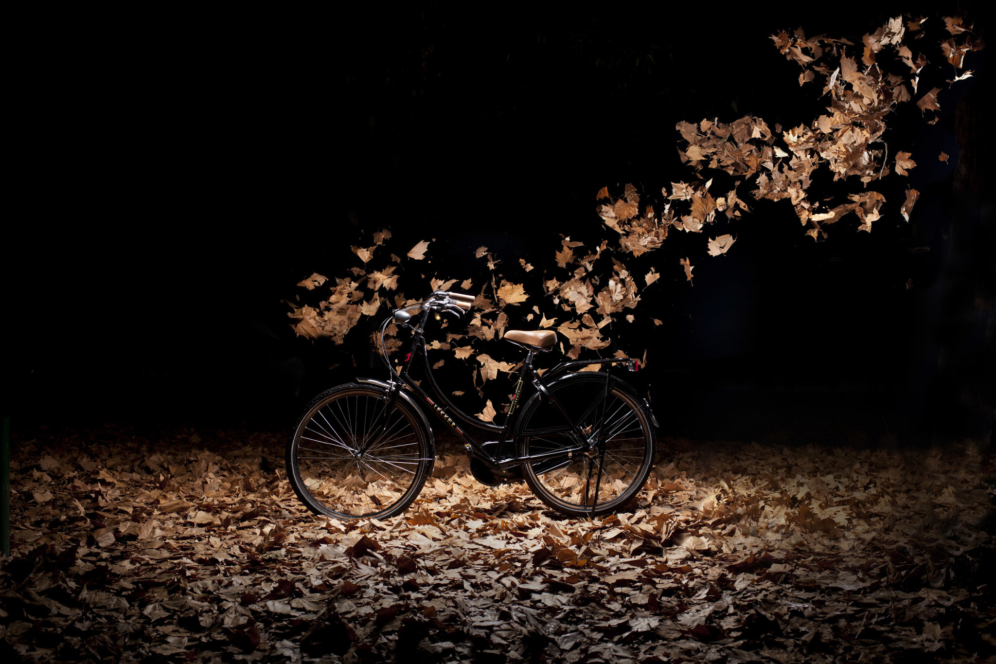 THE WHEELER - Max Milne | Professional Melbourne Commerical Advertising ...