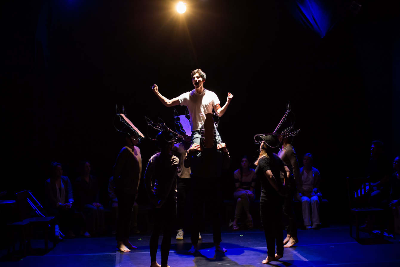 Equus Horse Masks - Alicia Seta