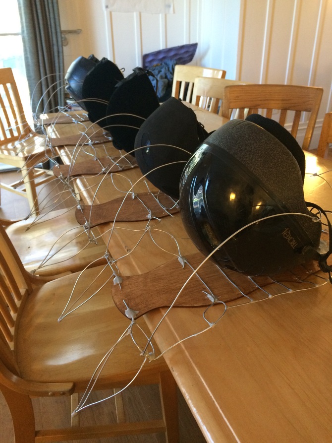 Equus Horse Masks - Alicia Seta