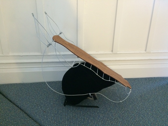 Equus Horse Masks - Alicia Seta