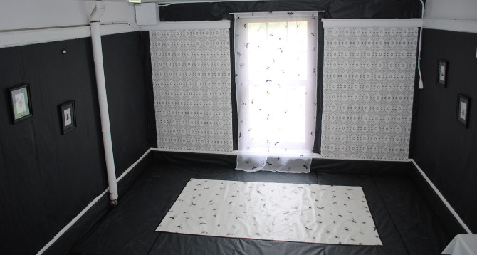 Insect Room - Ariel DiPersio