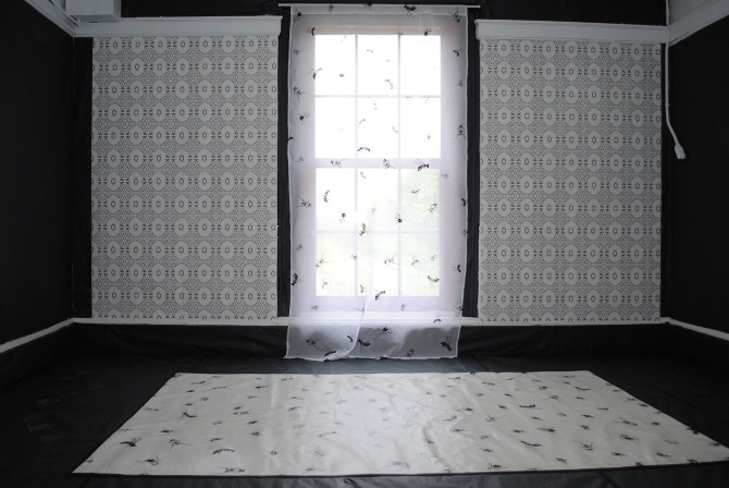 Insect Room - Ariel DiPersio
