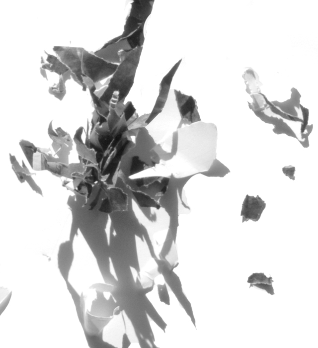 22nd Letter - the Bulilit: Design portfolio of Tabitha Chan