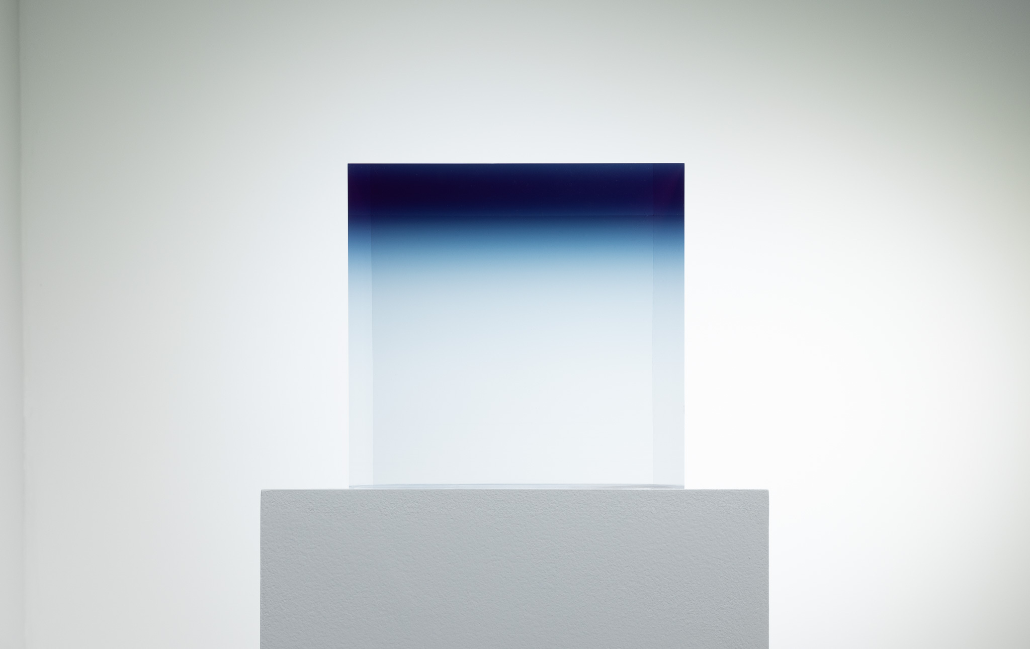 Phase Forms (Color Variants) - Adam Belt