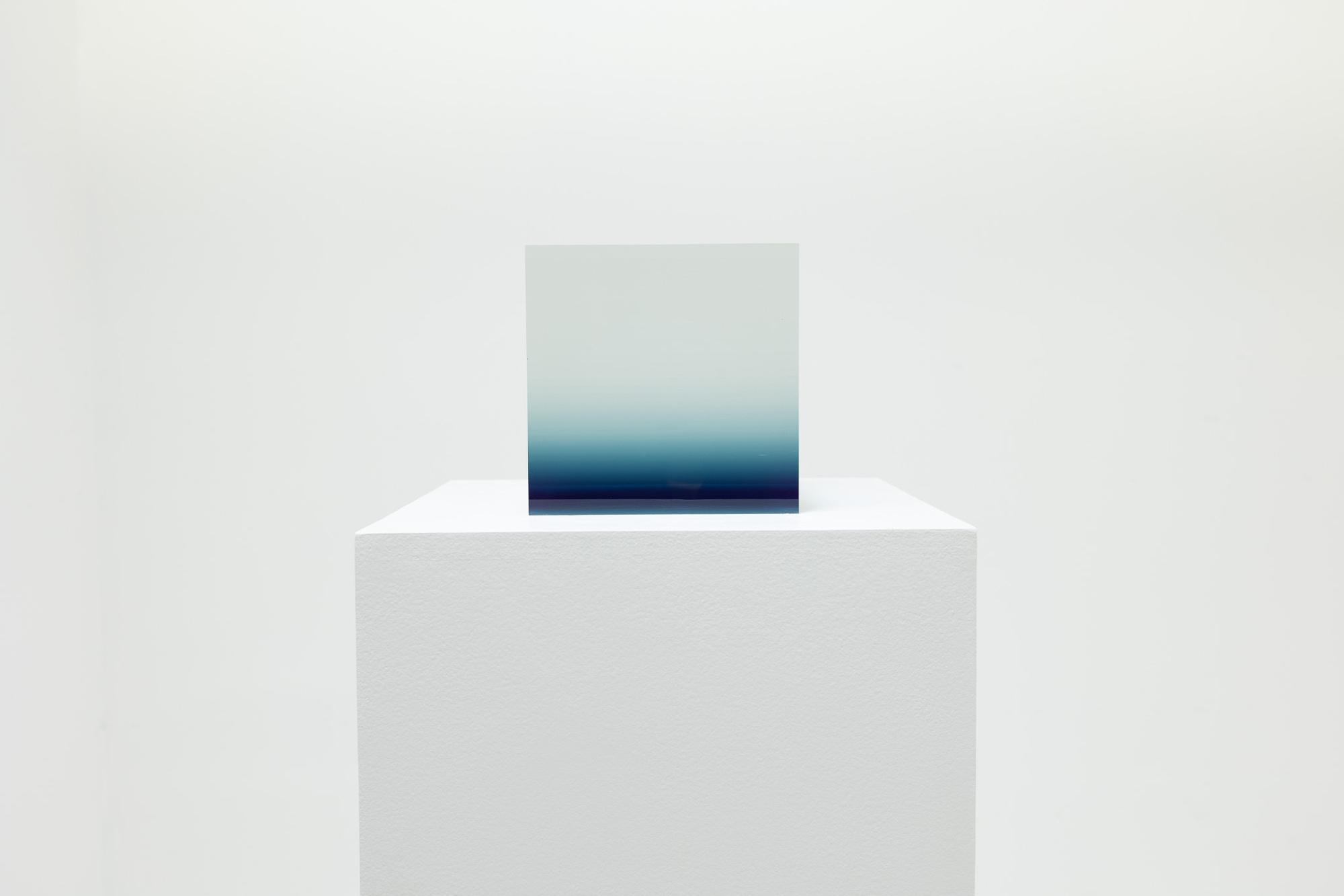 Phase Forms (Color Variants) - Adam Belt