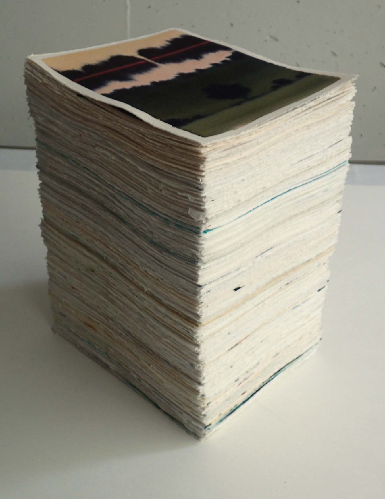 Paysageries - MAGALI CAZO