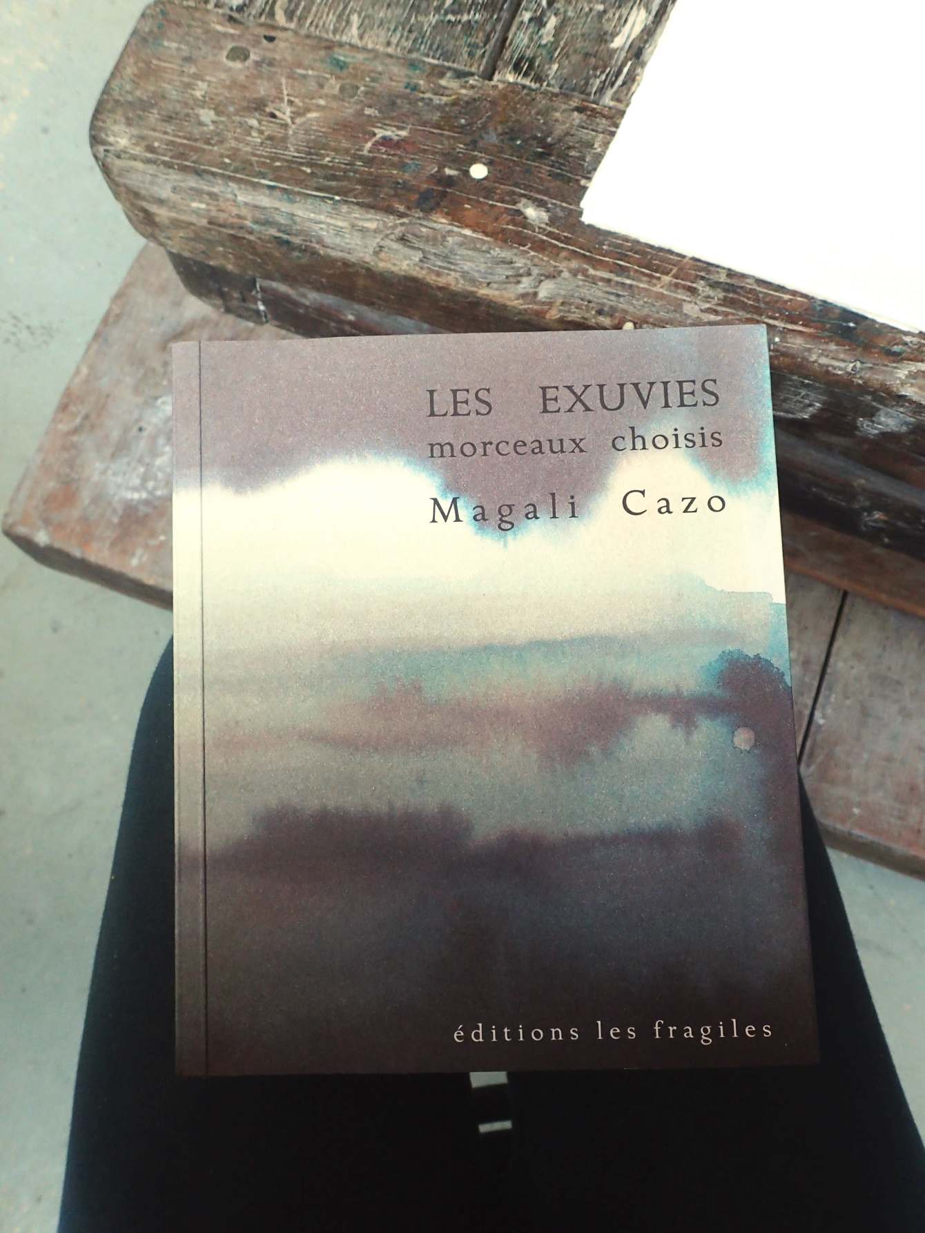 Où j'en suis - MAGALI CAZO