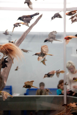 Debbie Carlos Studio