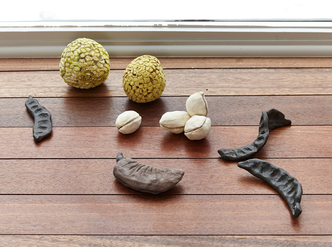 Recent Exhibitions - Rachel Frank