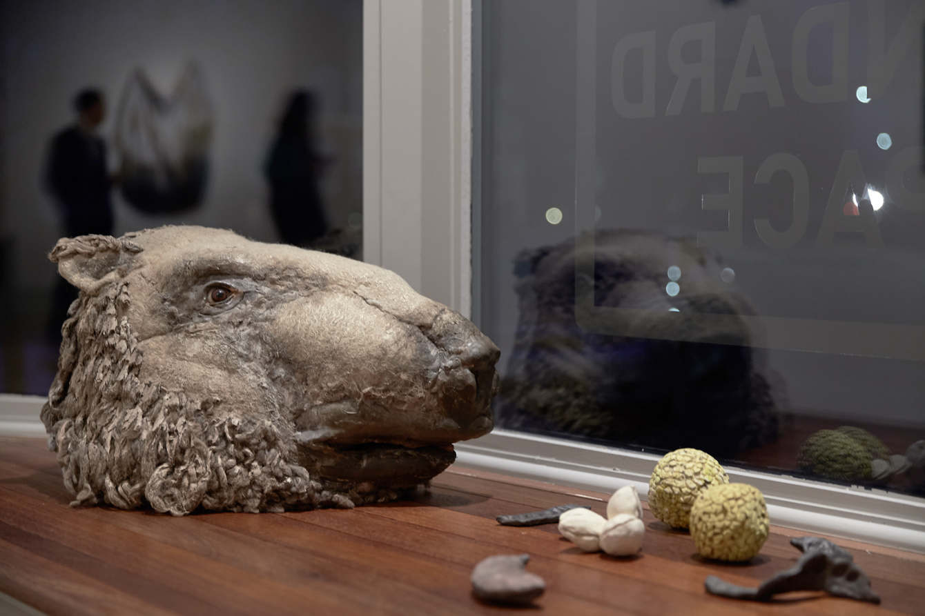 Recent Exhibitions - Rachel Frank