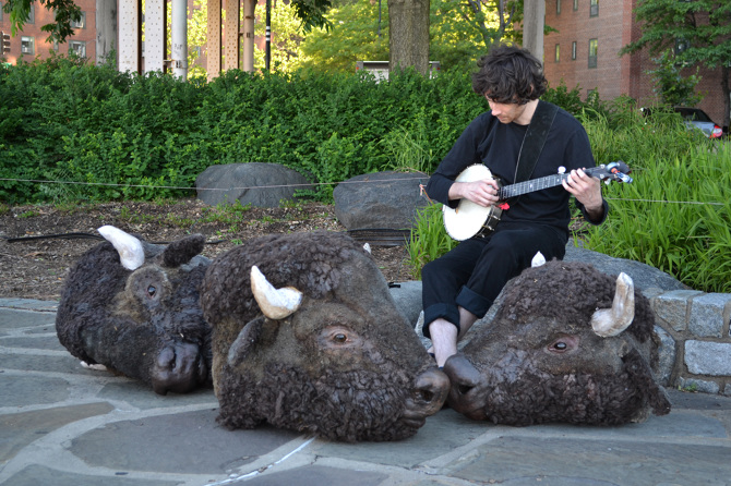 Rewilding (in-progress) - Rachel Frank