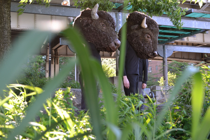 Rewilding (in-progress) - Rachel Frank