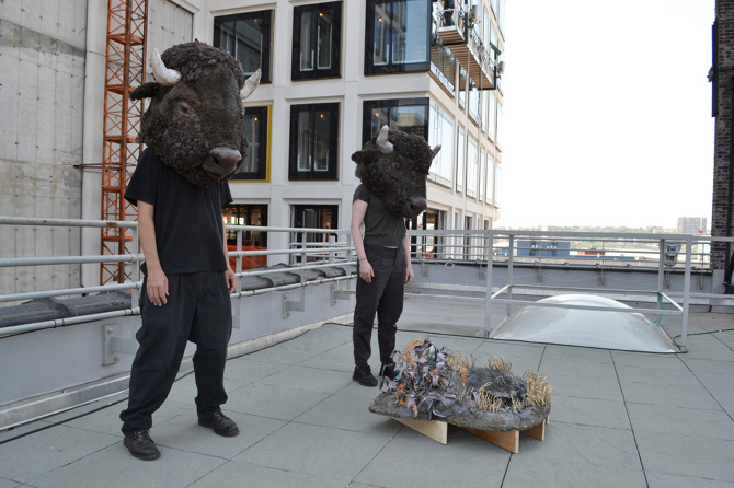 Rewilding (in-progress) - Rachel Frank