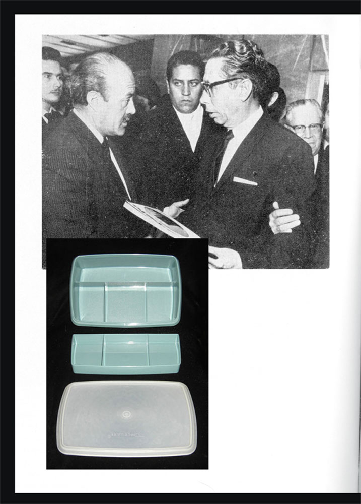 Cactus / box - Emma Jane Whitton