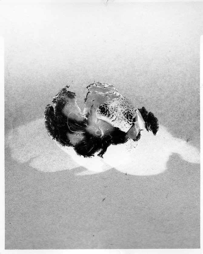 Paper negatives - Xavier Luján