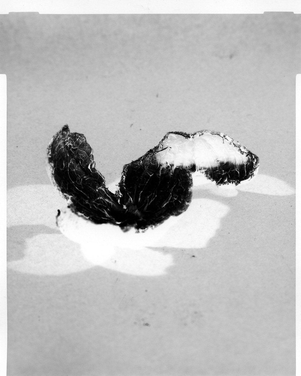 Paper negatives - Xavier Luján