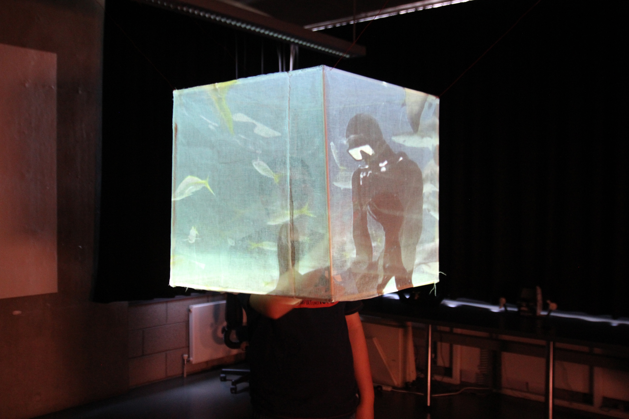 Skype 4D experience - Alan Hong