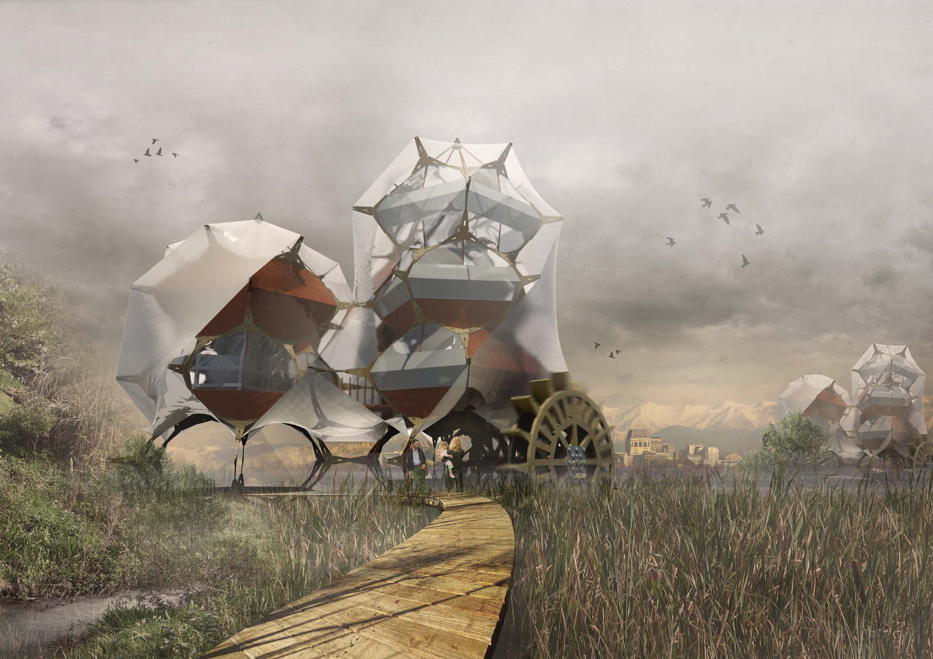 Polydomus Watermill - Thomas Damerham