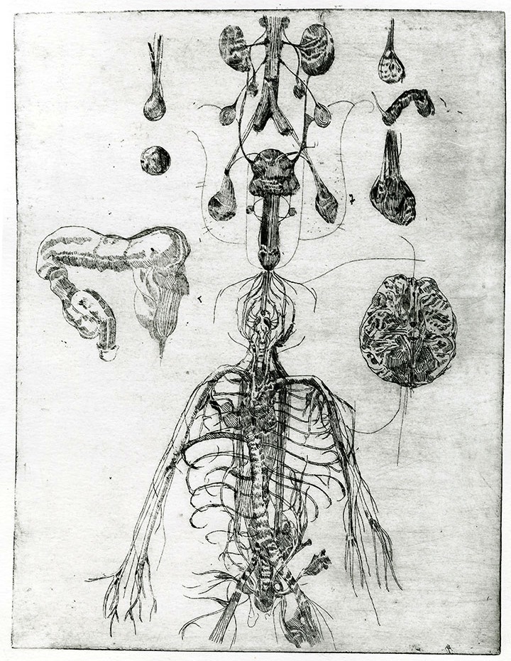 GRAVURE - JONATHAN BLEZARD