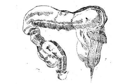 GRAVURE - JONATHAN BLEZARD