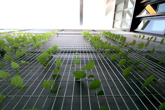 66 Watten Rise - danialvarez