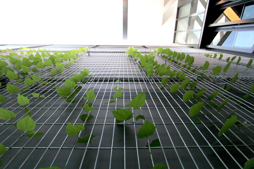 66 Watten Rise - danialvarez