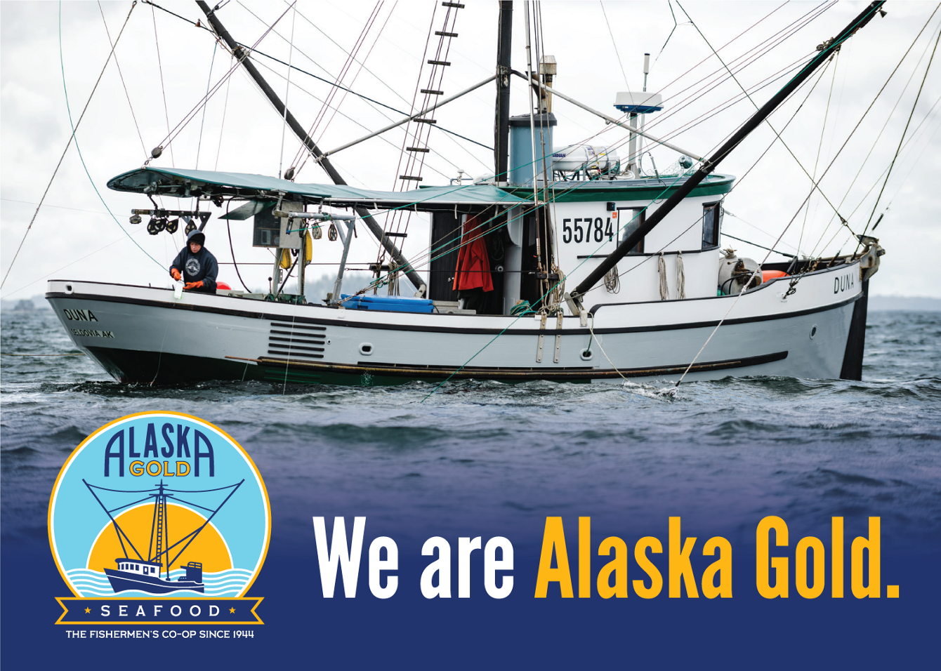 Alaska Gold Seafood Rebrand - Lariat Creative • Bellingham Flag ...