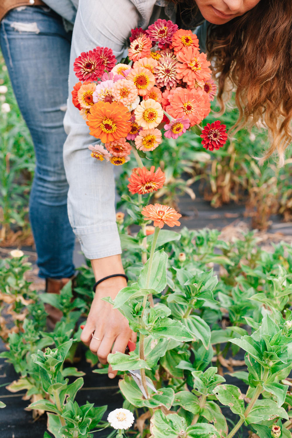 Southern Oregon Flower Farmers - Ann Nguyen