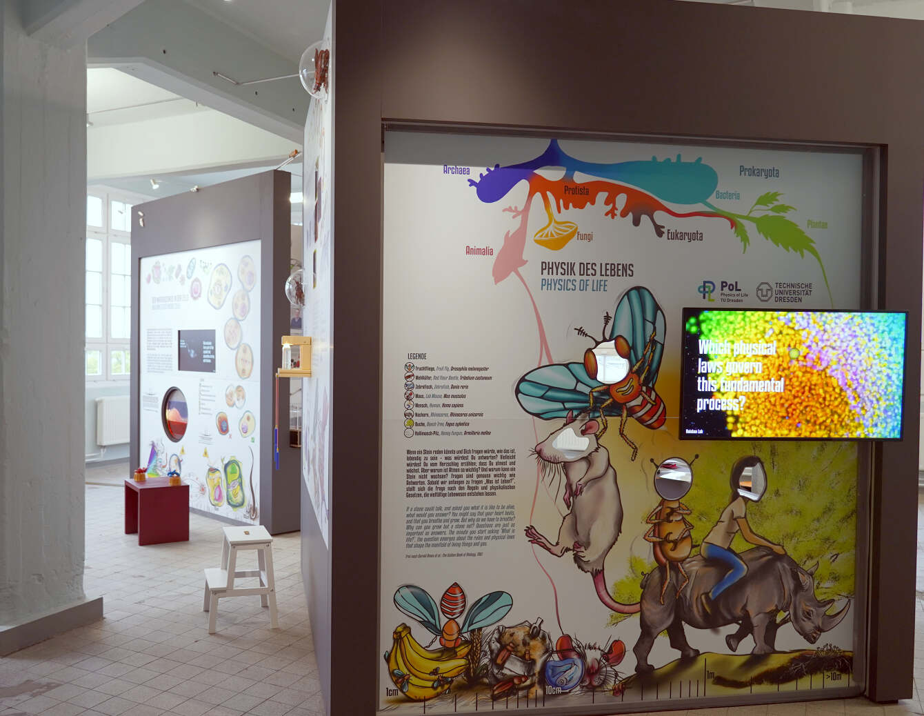 Physics of Life Museum Exhibit - priyankaoberoi