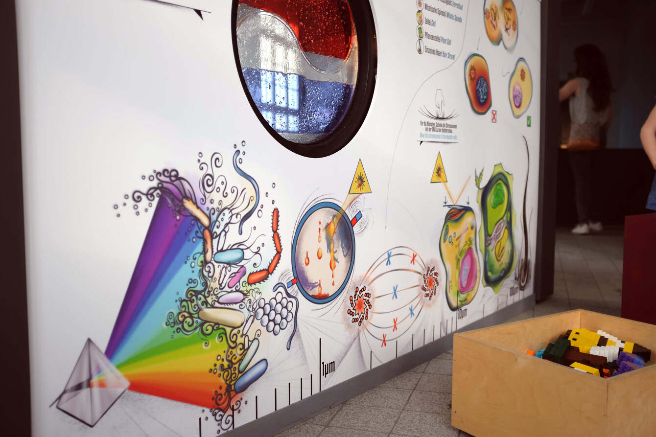 Physics of Life Museum Exhibit - priyankaoberoi