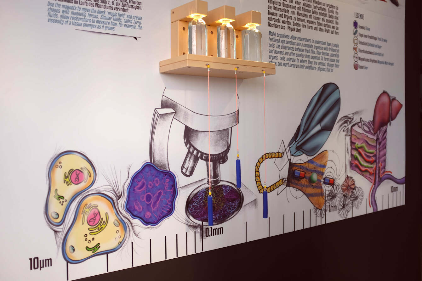 Physics of Life Museum Exhibit - priyankaoberoi