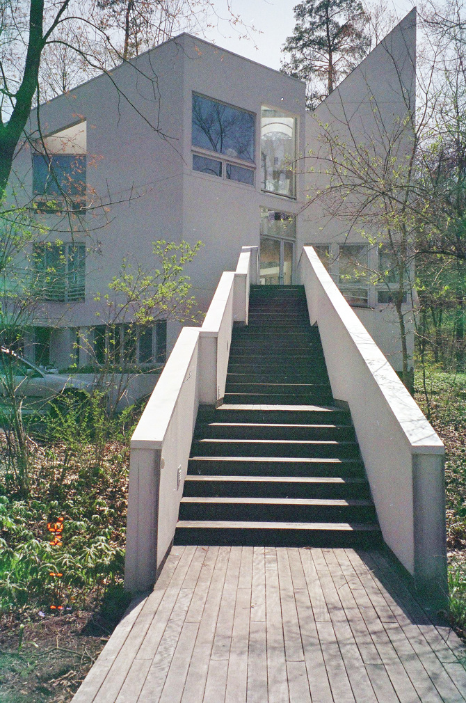 cinco de mayo - SYDNEY-HIRSCH.COM