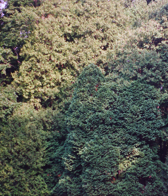 various misadventures - SYDNEY-HIRSCH.COM