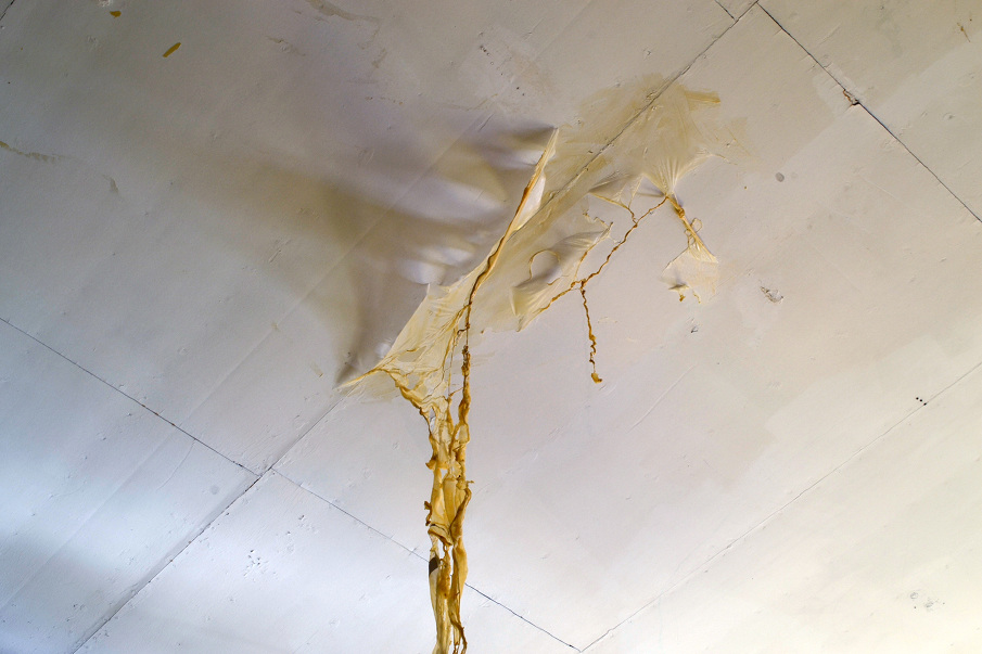 Architecture's Skin Installation - Sagan Newham