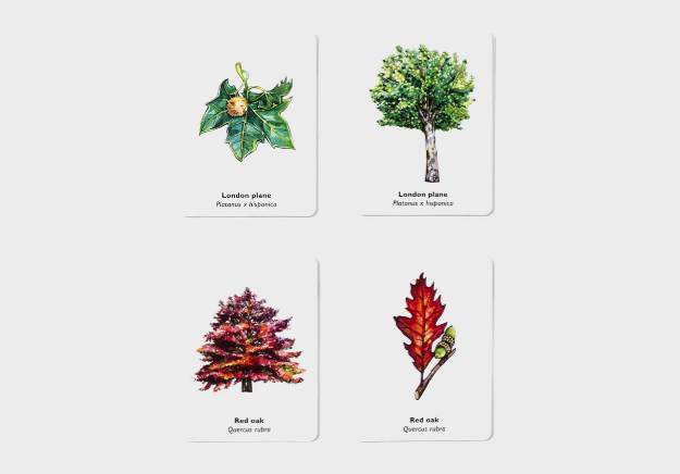 Match A Leaf Board Game - Holly Exley Illustration
