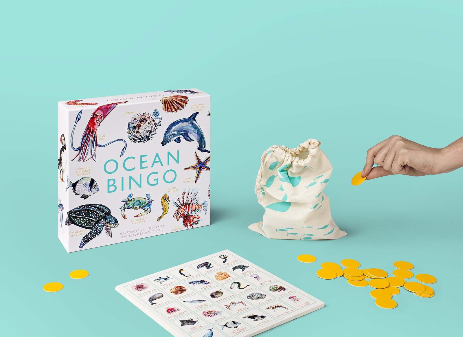 Ocean Bingo Illustrated - Holly Exley Illustration