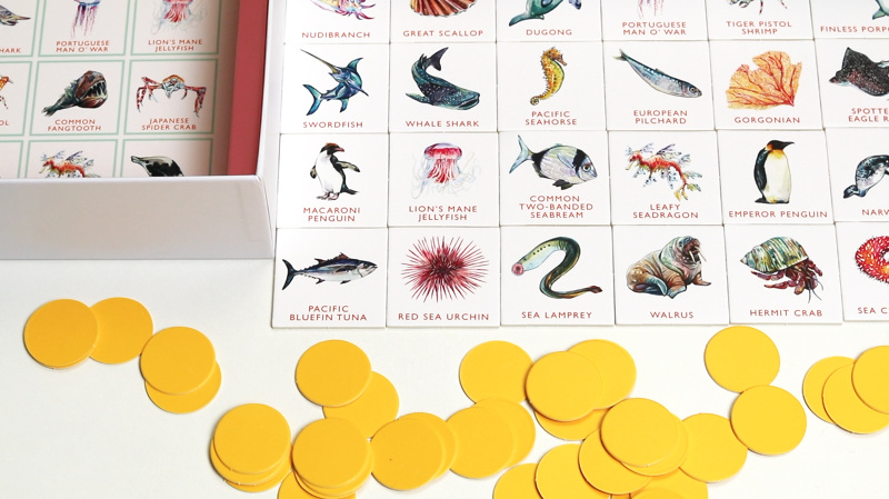 Ocean Bingo Illustrated - Holly Exley Illustration