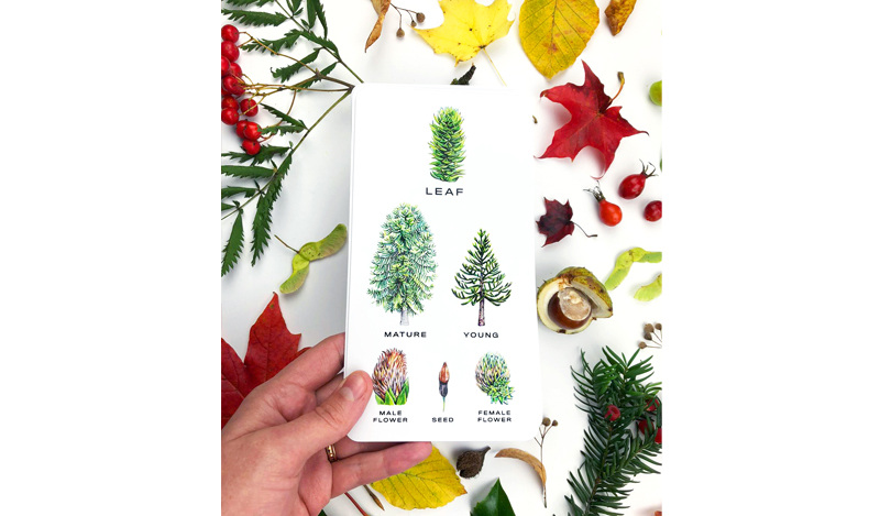 Tree Vision Illustrated Game - Holly Exley Illustration