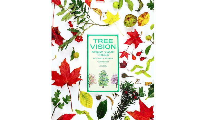Tree Vision Illustrated Game - Holly Exley Illustration