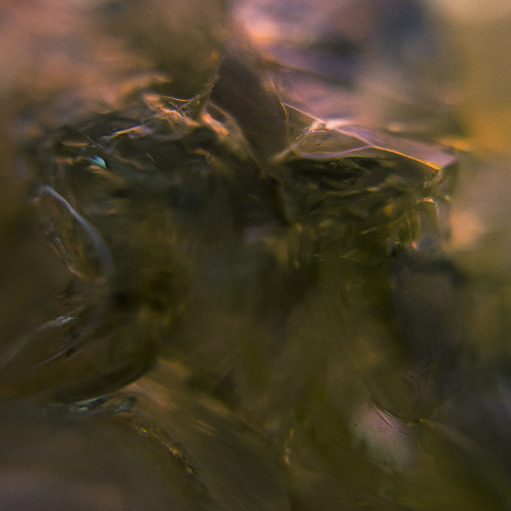 Subsurface Exploration - Kevin Bourland