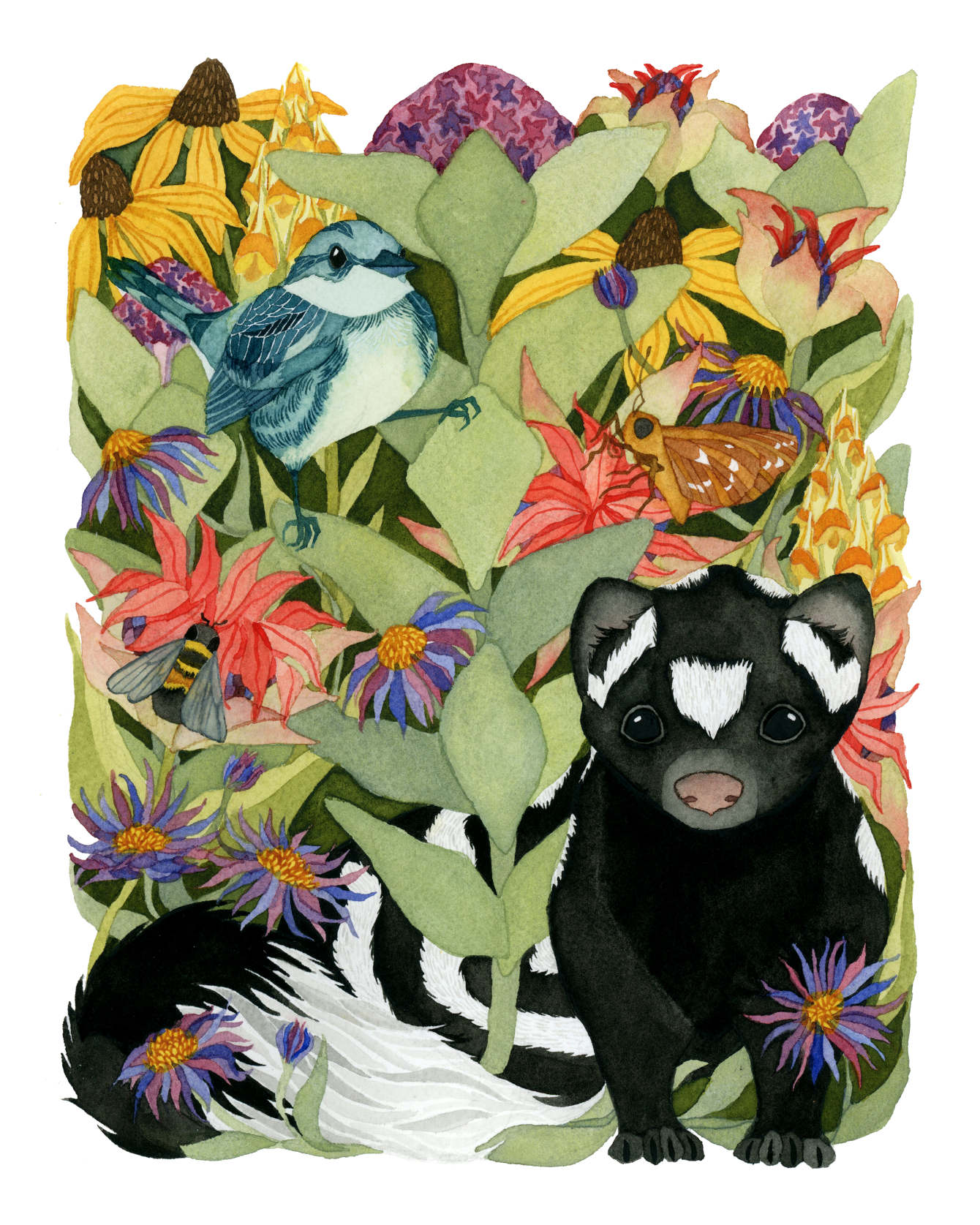 conservation illustration - Megan Murrell Illustration